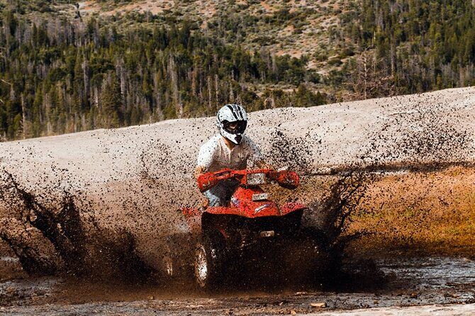 Side Quad Safari Experience (Adventure Tour) w/ Hotel Transfer - An In-Depth Look at the Side Quad Safari Experience