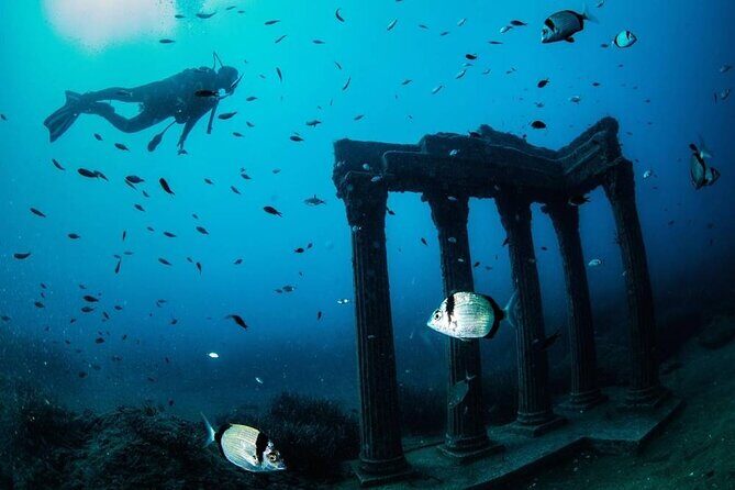 Side Scuba Diving Adventure with Lunch & Roundtrip Transfer - The Practical Side: What’s Included and What’s Not