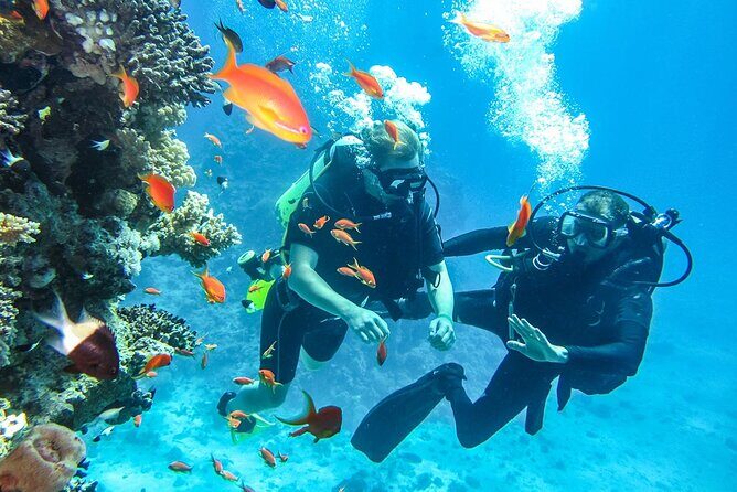 "Side: Scuba Diving in the Fascinating Underwater Museum" - The Itinerary in Detail