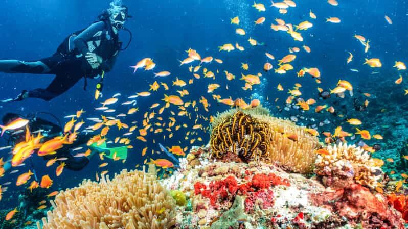 Side: Scuba Diving Tour Journey To The Depths Of The Blue - Key Points