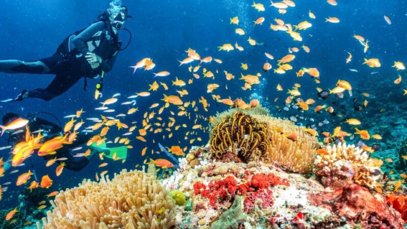 Side: Scuba Diving Tour Journey To The Depths Of The Blue - Detailed Breakdown of the Itinerary