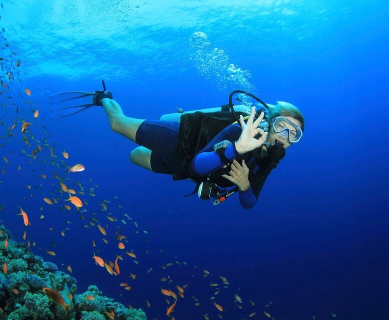 Side: Scuba Diving Tour Journey To The Depths Of The Blue - What Travelers Say: Authentic Perspectives