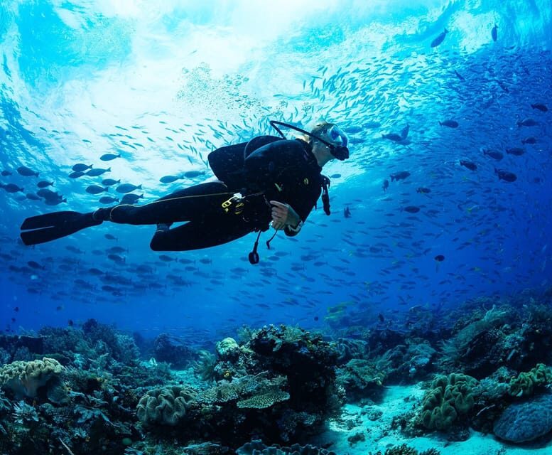 Side: Scuba Diving Tour Journey To The Depths Of The Blue - The Sum Up