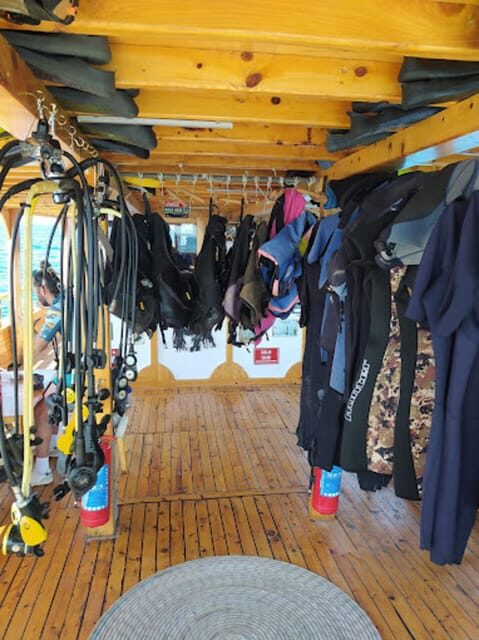 Side: Scuba Diving & Under Water Museum with Hotel Transfer - The Marine Environment & Underwater Museum: Why It Matters