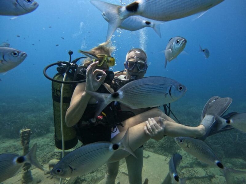 Side: Scuba Diving & Under Water Museum with Hotel Transfer - The Value of the Experience