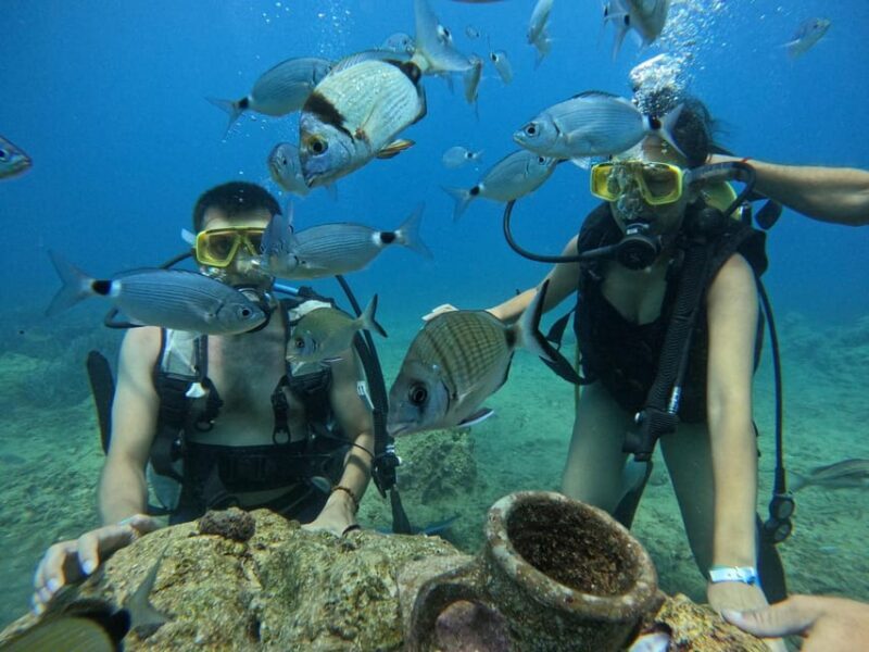 Side: Scuba Diving & Under Water Museum with Hotel Transfer - Practical Tips for Booking and Participating