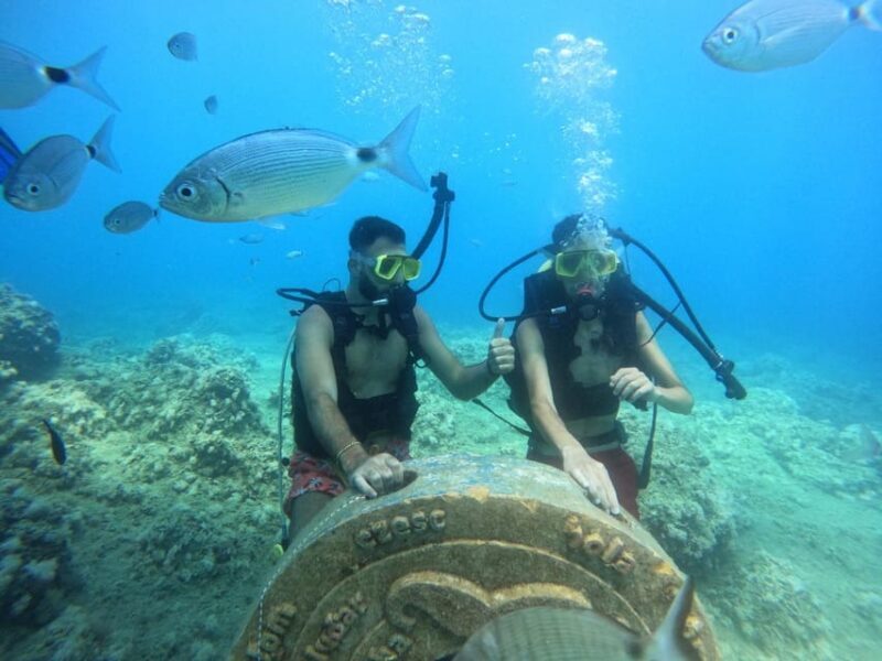 Side: Scuba Diving & Under Water Museum with Hotel Transfer - Who Will Love This Tour?