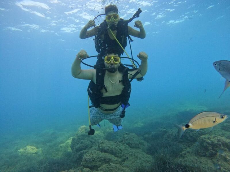 Side: Scuba Diving & Under Water Museum with Hotel Transfer - The Sum Up — Is It Worth It?