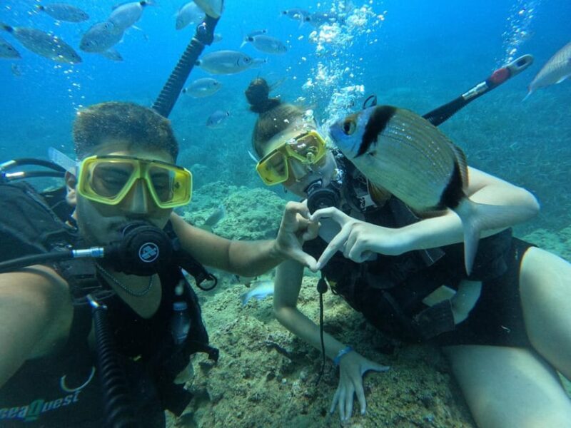Side: Scuba Diving & Under Water Museum with Hotel Transfer - FAQ