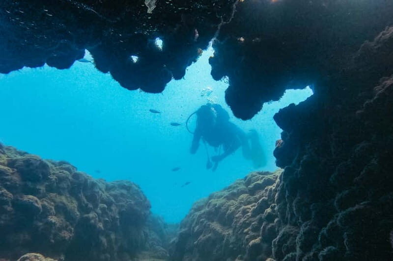 Side: Scuba Diving, Underwater Museum, 2 Dives incl. Lunch - Key Points