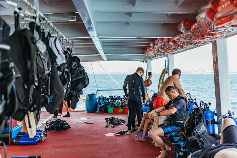 Side: Scuba Diving, Underwater Museum, 2 Dives incl. Lunch - Are the Reviews Accurate? What Travelers Say