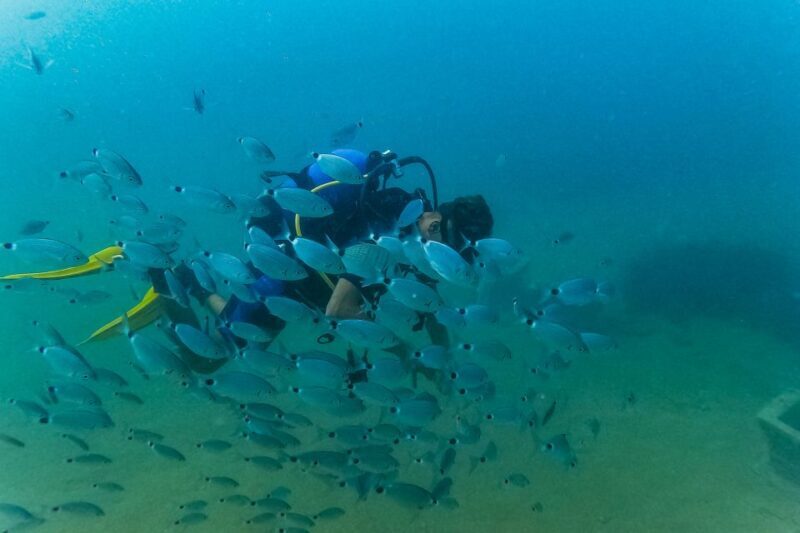 Side: Scuba Diving, Underwater Museum, 2 Dives incl. Lunch - Who Should Consider This Tour?