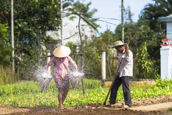 Sidecar Trip to the Countryside of Hoi An - Why It’s a Good Value