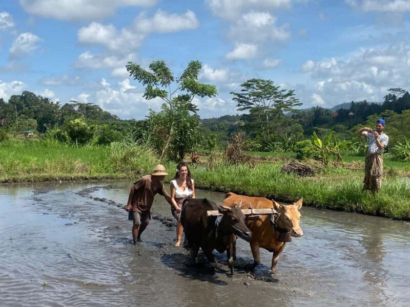 Sidemen: Balinese Traditional Activities - FAQ
