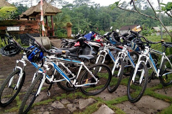 Sidemen Cycling - Who Will Love This Tour?