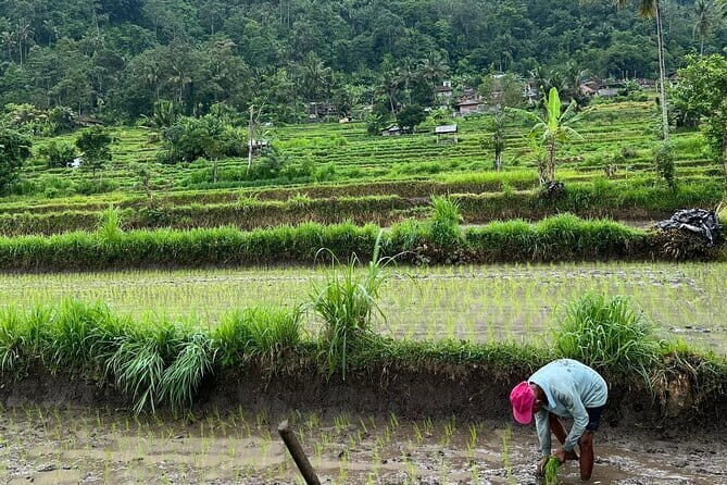 Sidemen Highlights Day Tour - An Honest Look at the Experience