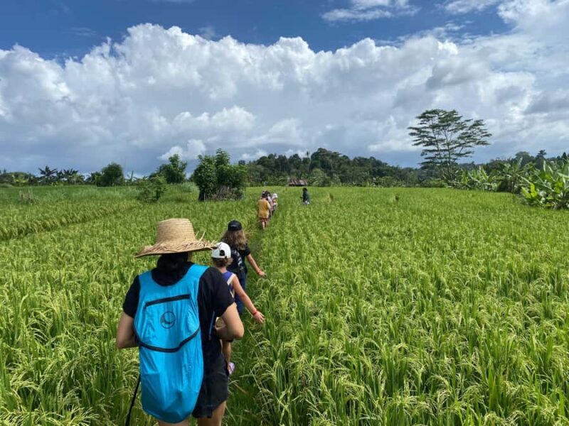 Sidemen: Rice Terraces and Hidden Waterfall - An Authentic Day in the Balinese Countryside