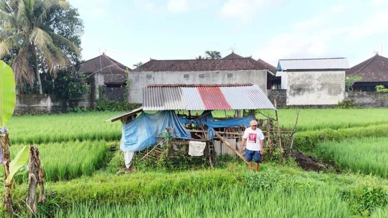 Sidemen rice terraces trek and local village walk - The Tour Experience: What to Expect