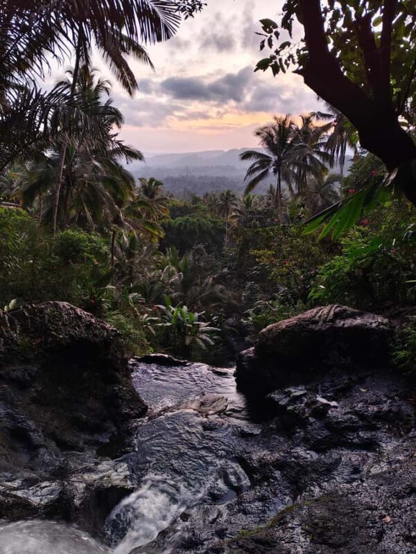 Sidemen: Rice Terraces, Waterfall, & Village Tour - Authentic Experiences That Go Beyond the Surface