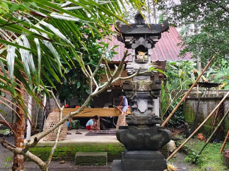 Sidemen: Rice Terraces, Waterfall, & Village Tour - Final Thoughts