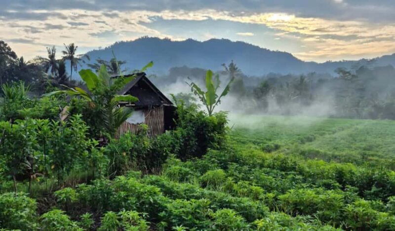 Sidemen Tour with Optional Koli Koli Day Club Visit - Who Will Love This Tour?