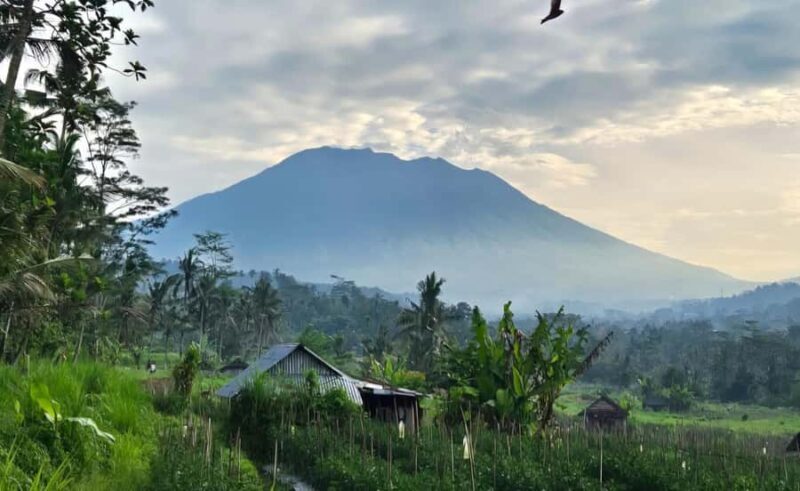 Sidemen Tour with Optional Koli Koli Day Club Visit - The Sum Up