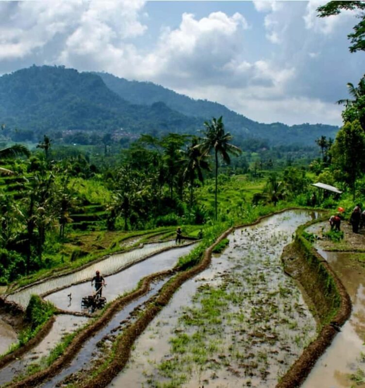 Sidemen Trekking: A Walk from a Different Perspective - A Detailed Look at the Sidemen Trekking Tour