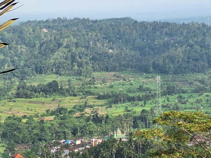 Sidemen Trekking: Dwangga Hill Hike in Sidemen (Peak 800M) - Key Points