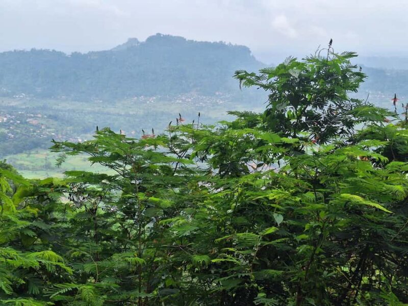 Sidemen Trekking: Dwangga Hill Hike in Sidemen (Peak 800M) - FAQ