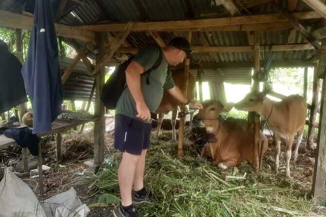 Sidemen Trekking Through Rice Terraces and Villages - Final Word