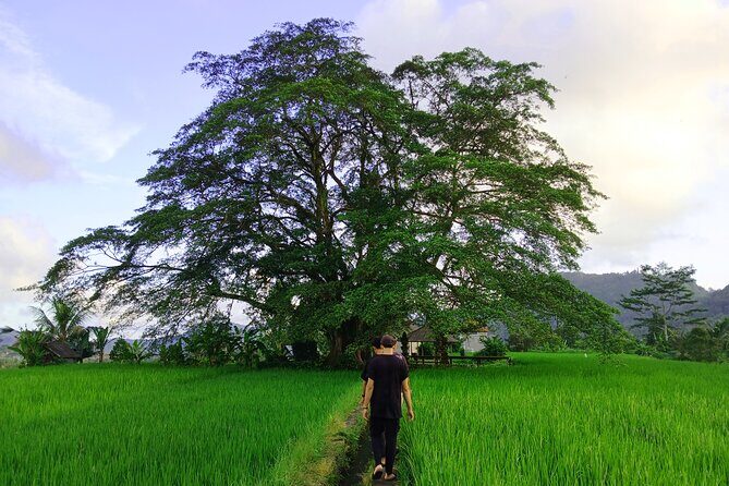 Sidemen Trekking with Cultural Encounters and Nature Views - Key Points