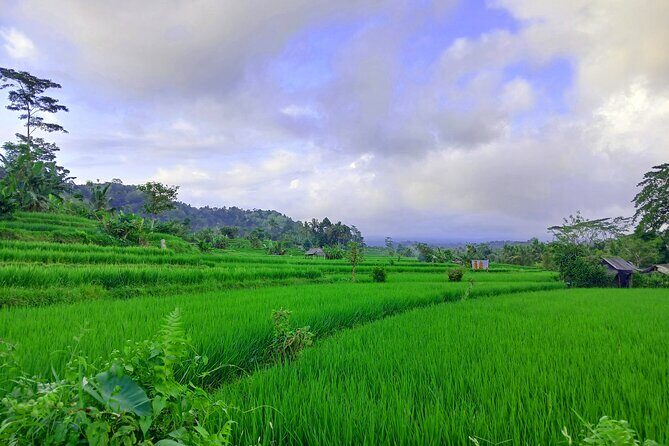 Sidemen Trekking with Cultural Encounters and Nature Views - The Experience from Reviews