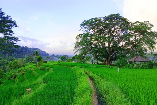 Sidemen Trekking with Cultural Encounters and Nature Views - Frequently Asked Questions