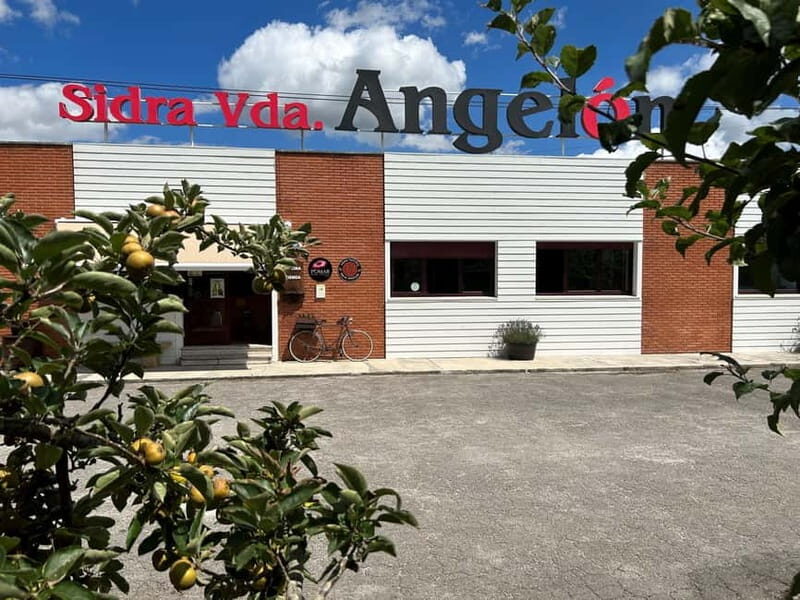 Sidra Vda. de Angelón: guided visit to a cider mill with tasting - Key Points