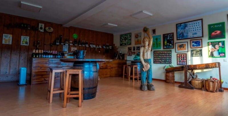 Sidra Vda. de Angelón: guided visit to a cider mill with tasting - An In-Depth Look at the Experience
