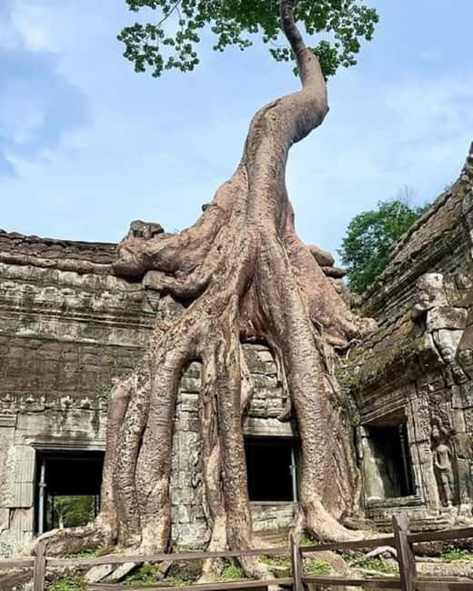 Siem Reap: 1-day group tour of Angkor with Spanish tour guide - Key Points
