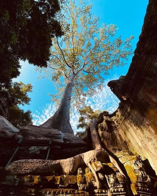 Siem Reap: 1-day group tour of Angkor with Spanish tour guide - Who Might Want More?