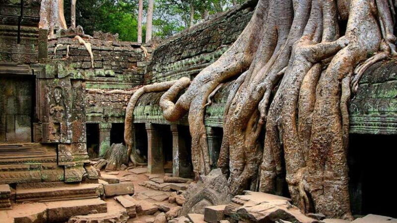 Siem Reap: 2-Day Angkor Sunrise, Banteay Srey, & Beng Mealea - Final Thoughts