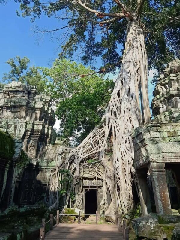 Siem Reap: 2-Day Angkor Wat and Countryside Temples Tour - Key Points