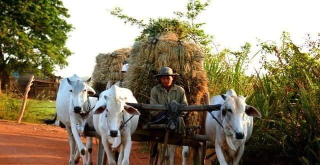 Siem Reap: 3-Hour Ancient Trails Motorbike Tour - An In-Depth Look at the Experience