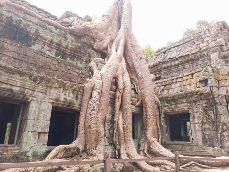 Siem Reap: 4 Hour-Ta Prohm and Banteay Kdei Guided Tour - Key Points