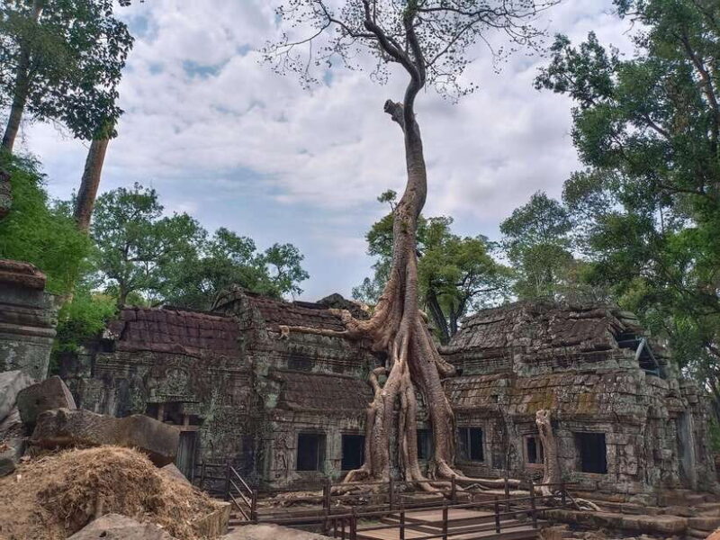 Siem Reap: 4 Hour-Ta Prohm and Banteay Kdei Guided Tour - The Itinerary and What You Can Expect