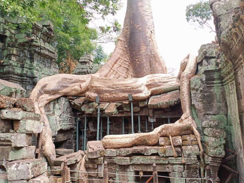 Siem Reap: 4 Hour-Ta Prohm and Banteay Kdei Guided Tour - The Value of a Private, Guided Tour