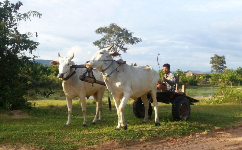 Siem Reap: 6-Hour Easy Rider Motorbike Tour - FAQ