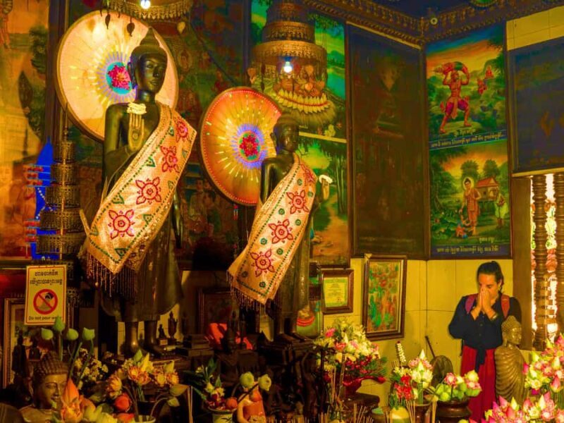 Siem Reap: Afternoon APOPO Rats Tour + Phare Circus Option - The Sum Up