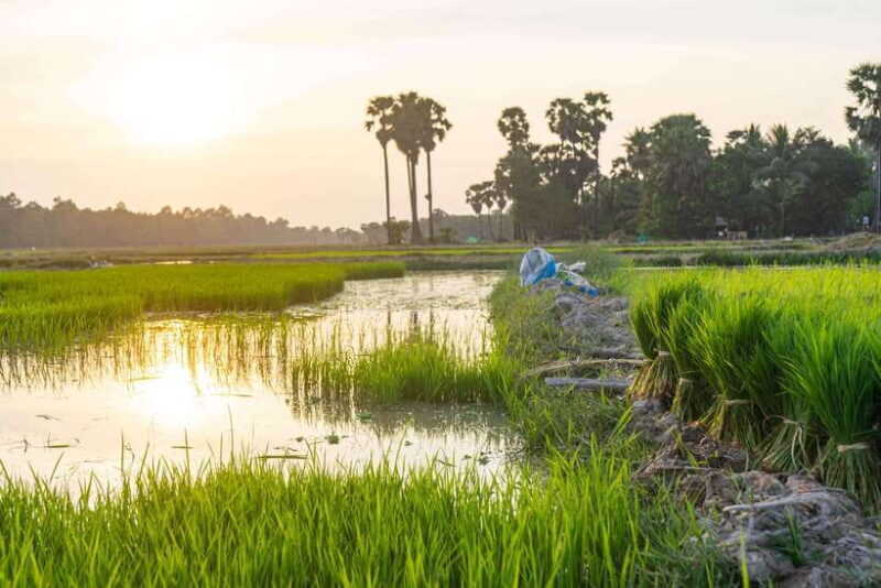 Siem Reap: Afternoon Cooking Class & Village Tour - FAQ