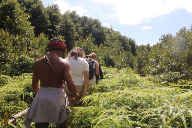 Siem Reap: Agroecological Farm Tour with Meals & Pool - Practical Details and What to Expect