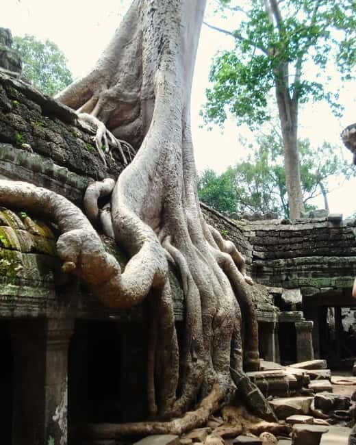 Siem Reap: Angkor 1-Day Private Tour with Sunset or Sunrise - Who Is This Tour Best For?
