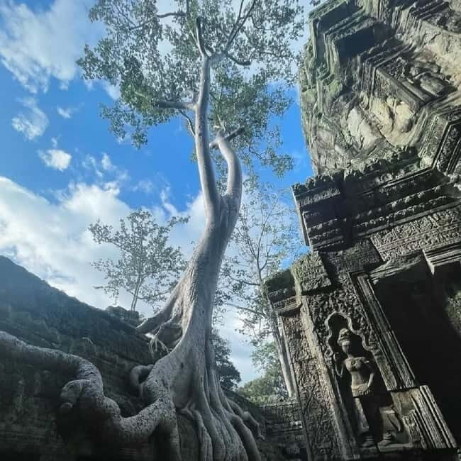 Siem Reap: Angkor 1-Day Private Tour with Sunset or Sunrise - The Sum Up