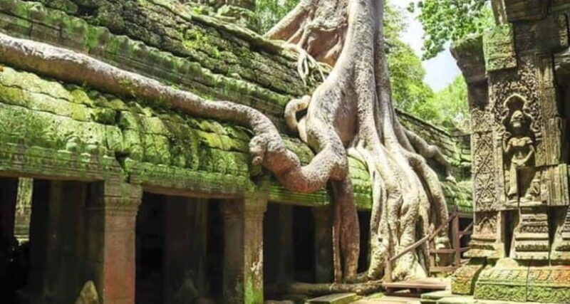 Siem Reap: Angkor and Ta Prohn Ancient Temples 3-Day Tour - Discovering the Temples: A Day-by-Day Breakdown